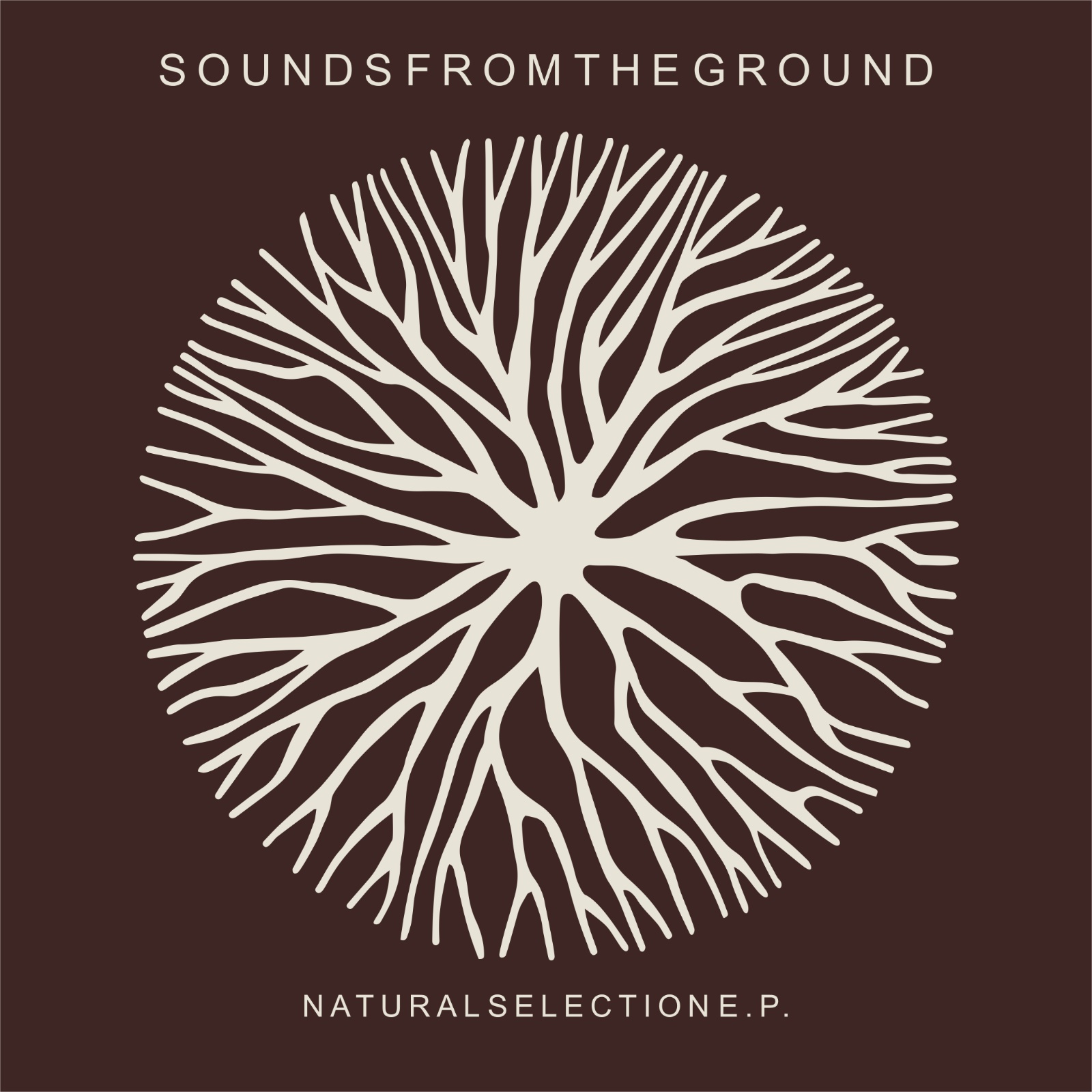 Discography - Sounds From The Ground